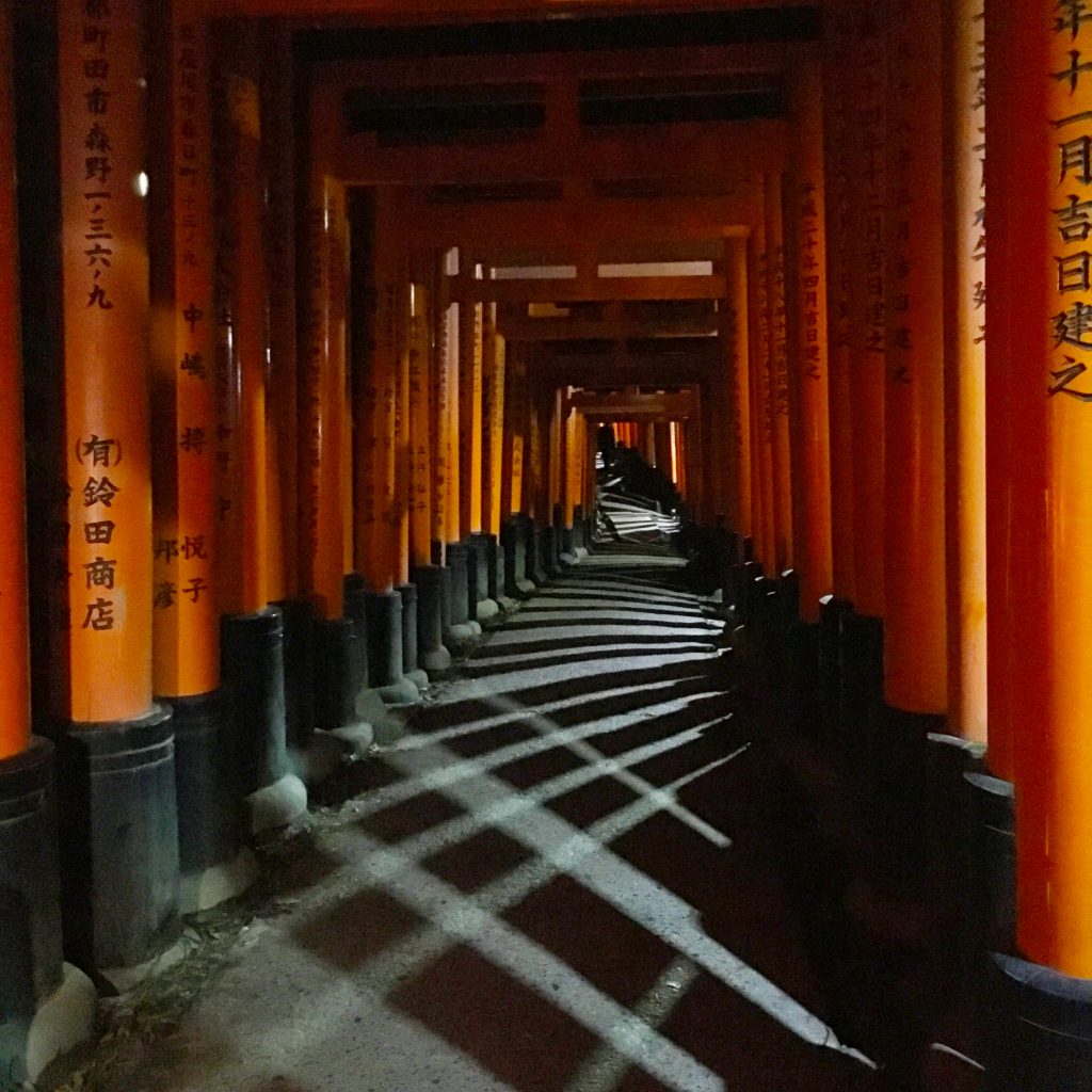 Fushimi Inari shrine at night, Kyoto. First time as a photographer ...