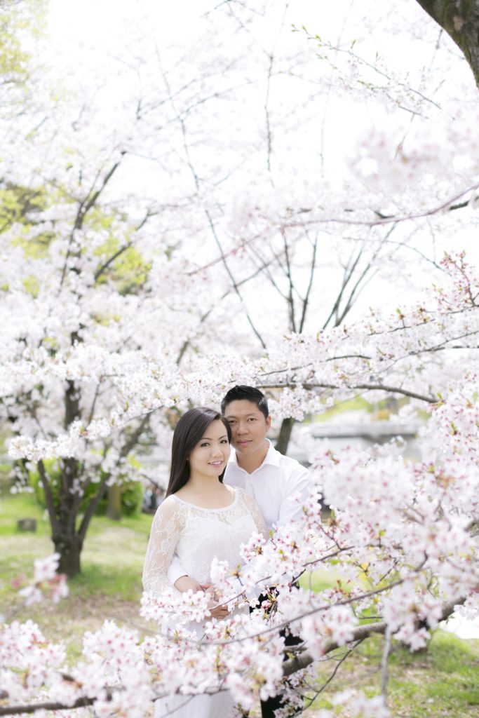 Engagement couple shoot, cherry blossom | Kyoto Family Photo